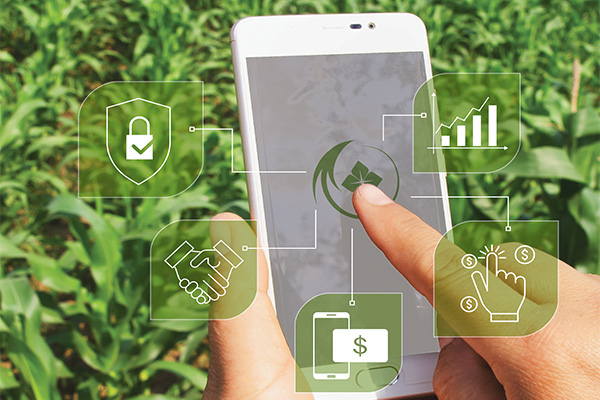 Electronic Signature Complete