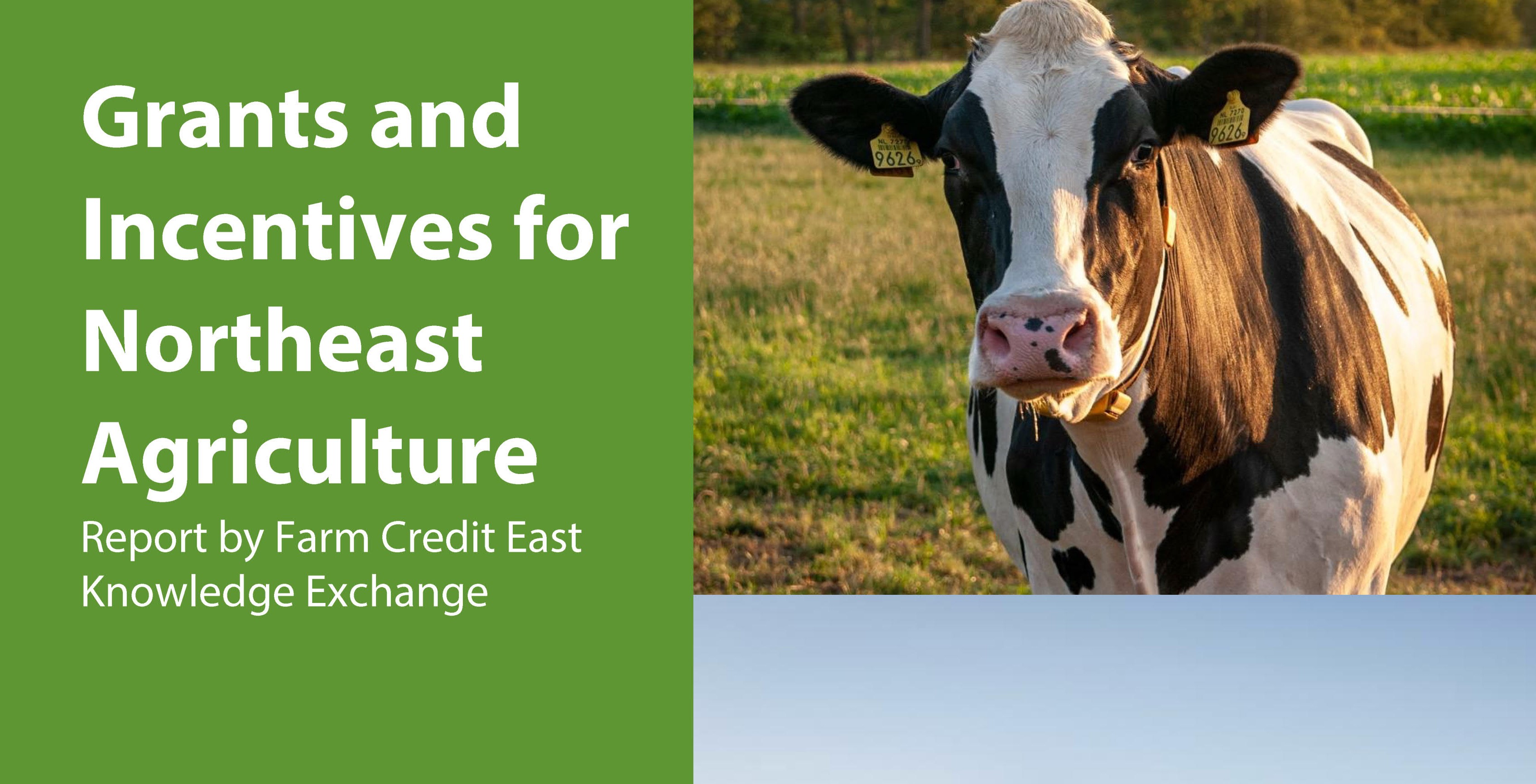 Farm Credit East – Farm Loans & Ag Financial Services